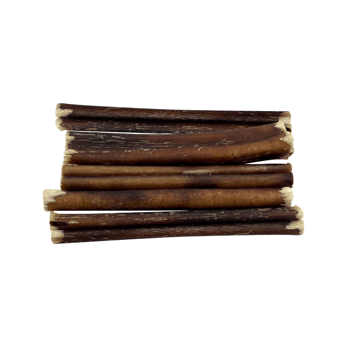 Bull Pizzle | Natural Instinct